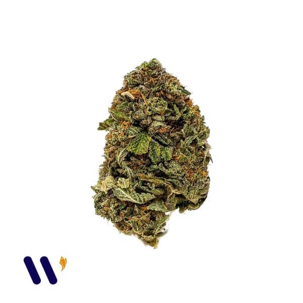 Cannabis Archives - Weed Cargo