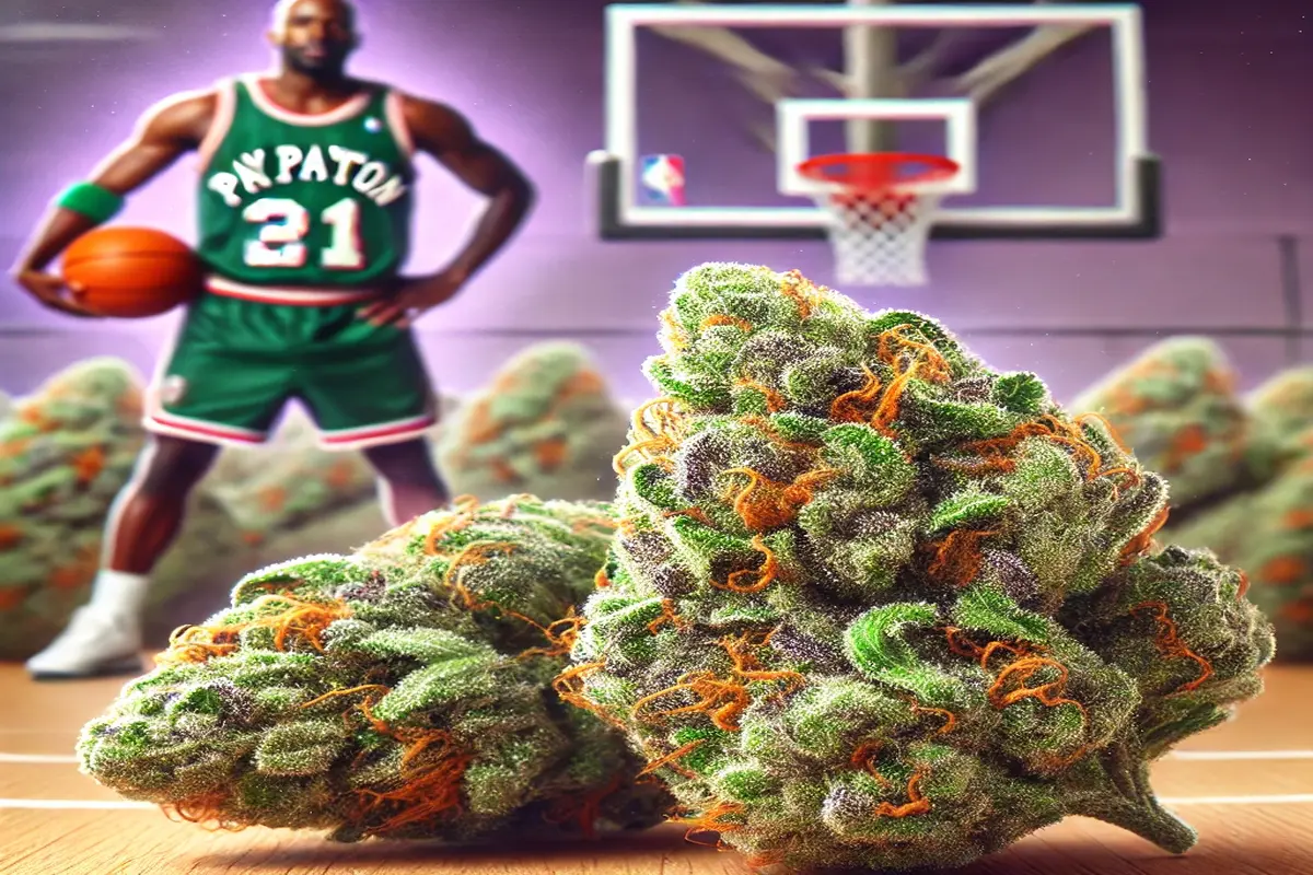 Gary Payton Weed Strain Review: Effects, Flavor & Experience - Weed Cargo