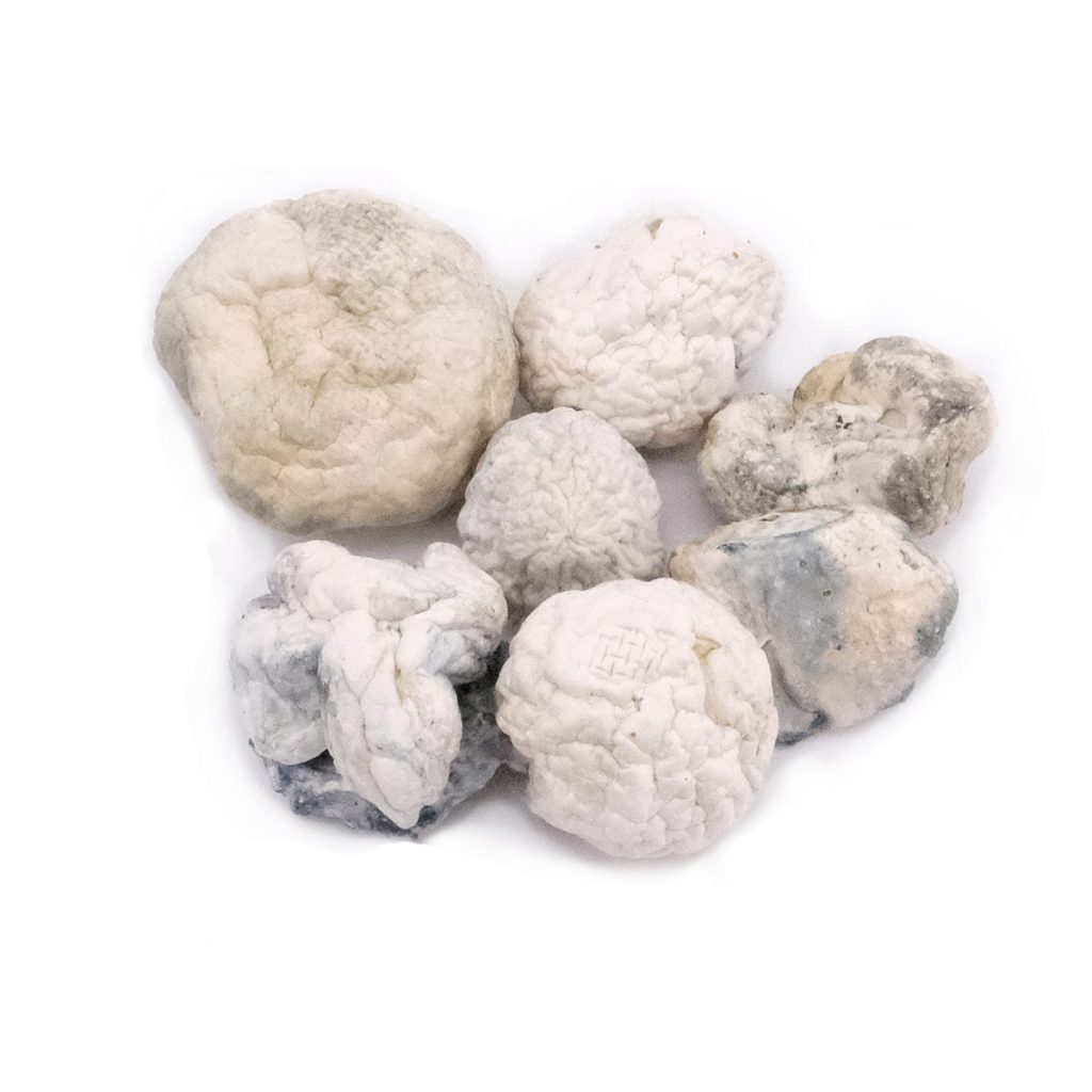 Buy Alien Bubbles Magic Mushrooms Online - Weed Cargo