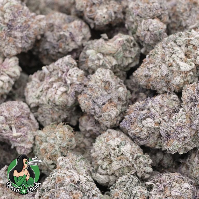 Buy Blackberry Gelato – Hyrbid – AAAA – Queen Of Quads Online - Weed Cargo