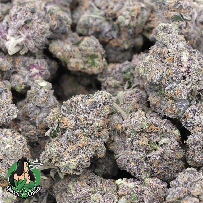 Buy Cherry Lime Soda – Hyrbid – AAAA – Queen Of Quads Online - Weed Cargo