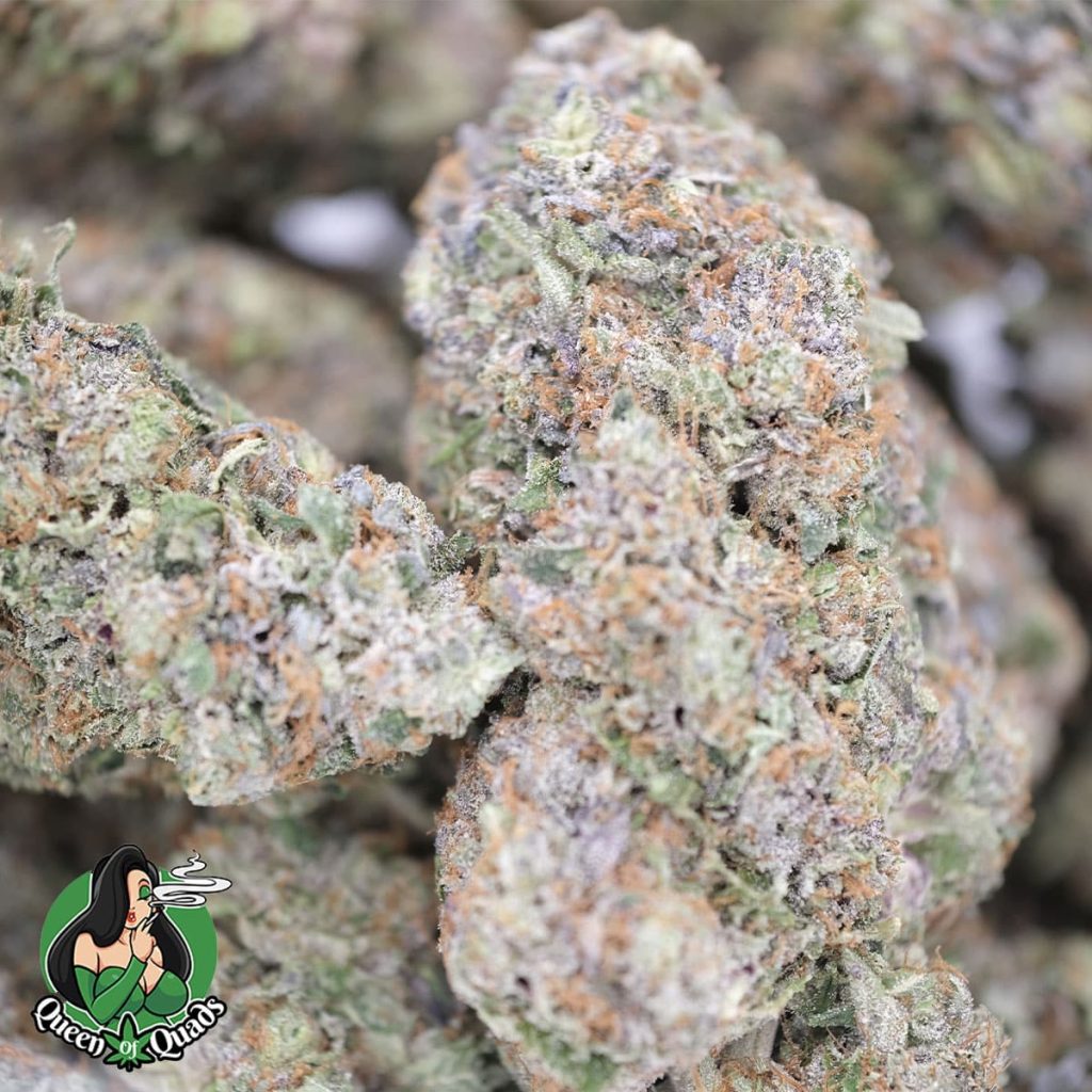 Buy Death Star – Indica Dominant Hybrid – Queen of Quads Online - Weed ...