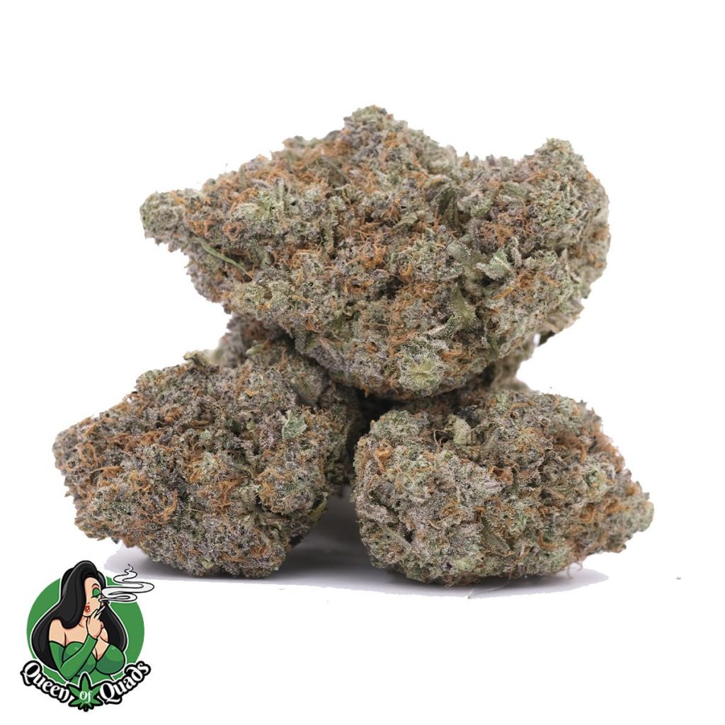 Buy Donny Burger – Indica – AAAA – Queen Of Quads Online - Weed Cargo