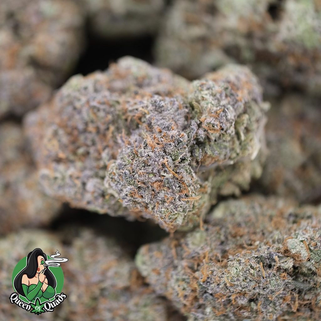 Buy Donny Burger – Indica – AAAA – Queen Of Quads Online - Weed Cargo