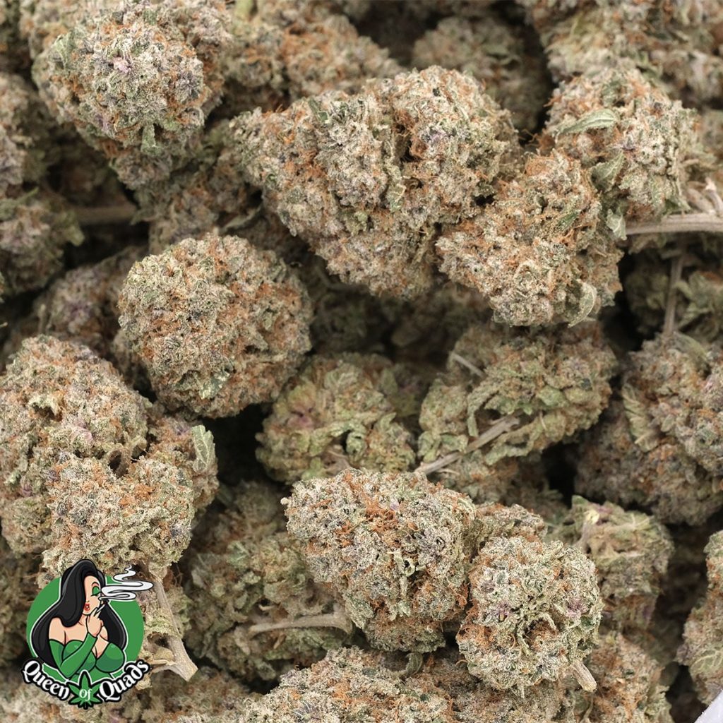 Buy El Chapo – Indica – AAAA – Queen of Quads Online - Weed Cargo