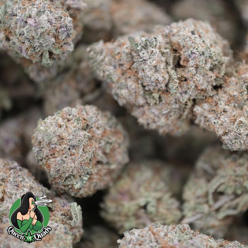 Buy El Chapo – Indica – AAAA – Queen of Quads Online - Weed Cargo