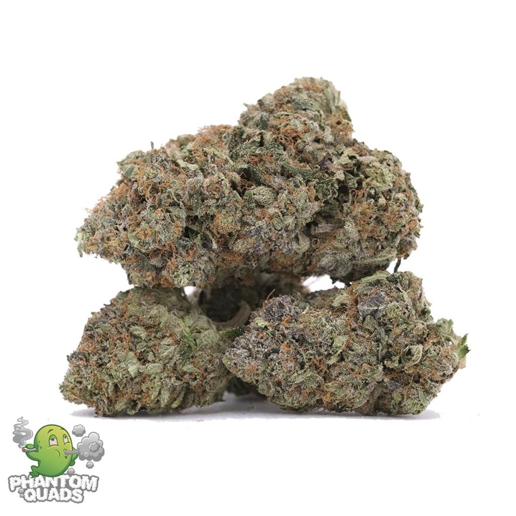 Buy Jedi OG Kush – Indica Dominant Hybrid – AAAA+ – Phantom Quads ...