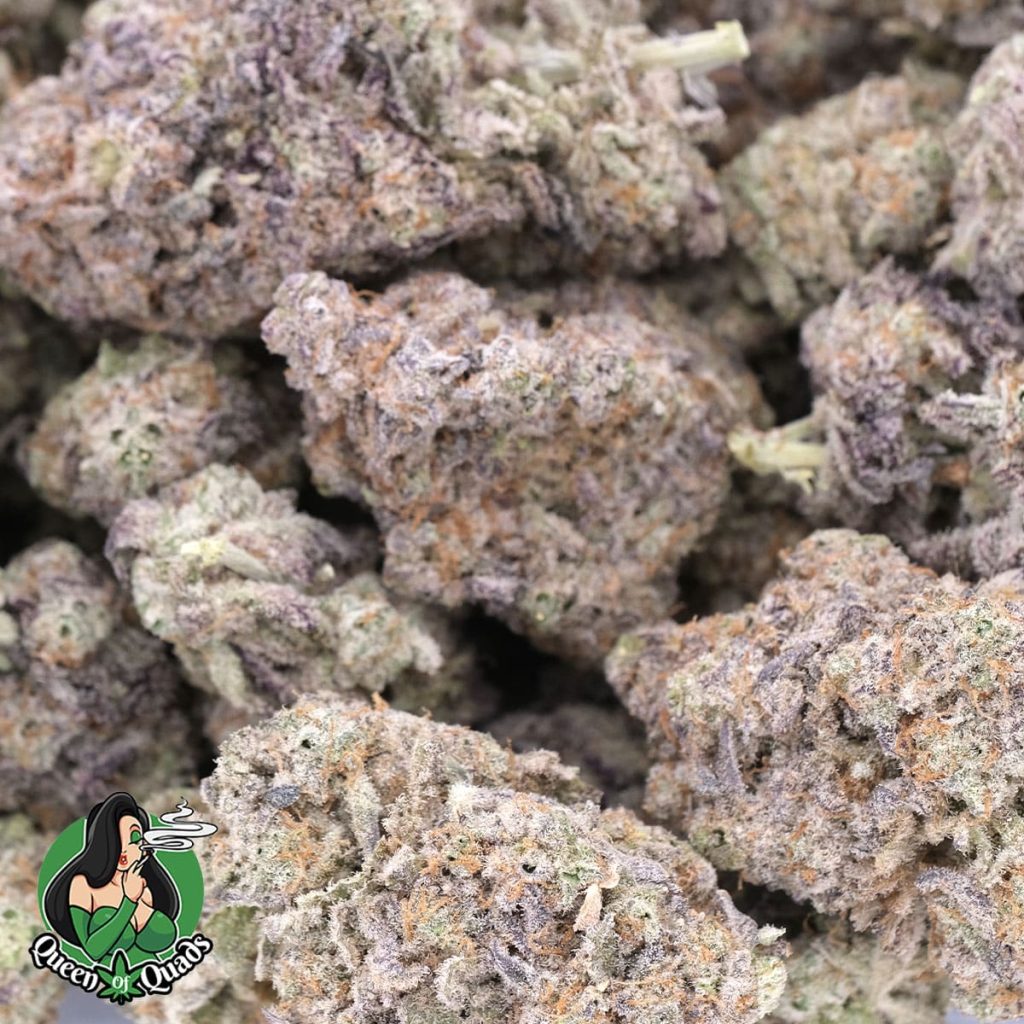 Buy Miracle Alien Cookies – Hybrid – AAAA – Queen Of Quads Online ...