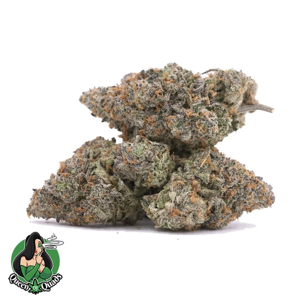 Buy Orange Soda – Sativa Dominant – AAAA – Queen Of Quads Online - Weed ...