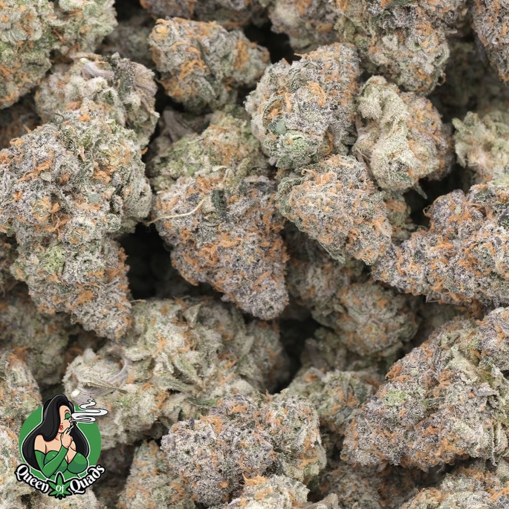 Buy Orange Soda – Sativa Dominant – AAAA – Queen Of Quads Online - Weed ...