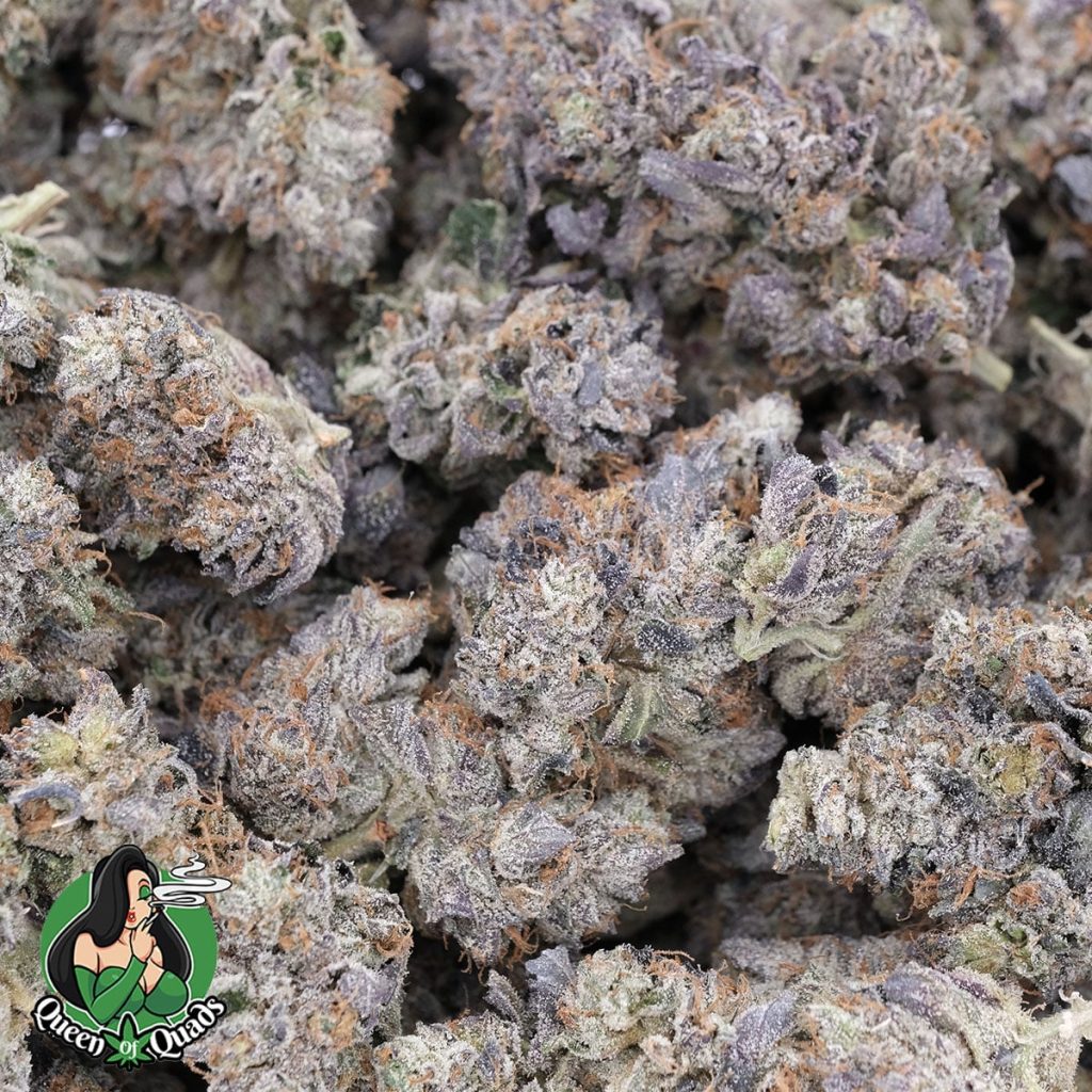 Buy Pre-98 Bubba Kush – Indica – AAAA – Queen Of Quads Online - Weed Cargo