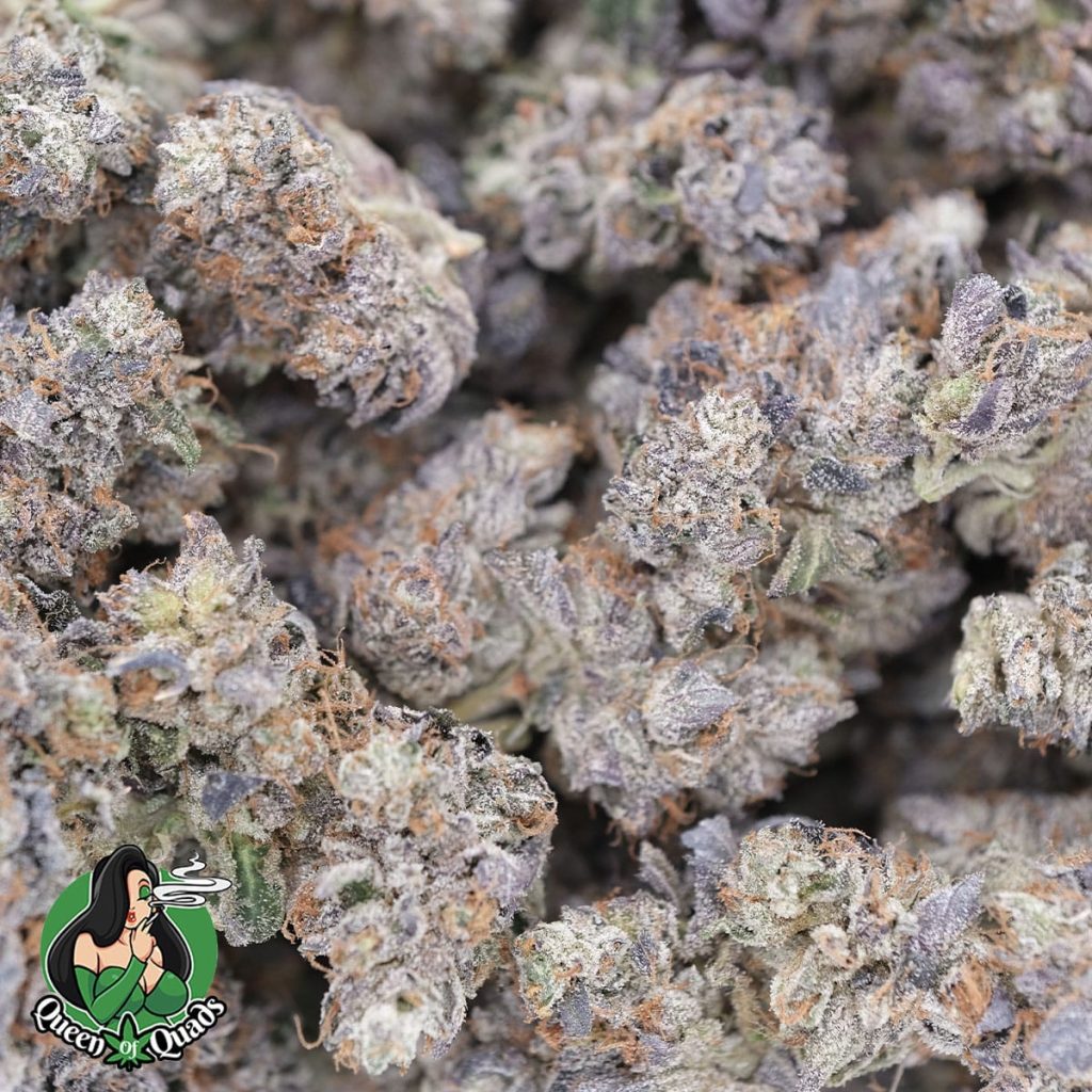 Buy Pre-98 Bubba Kush – Indica – AAAA – Queen Of Quads Online - Weed Cargo