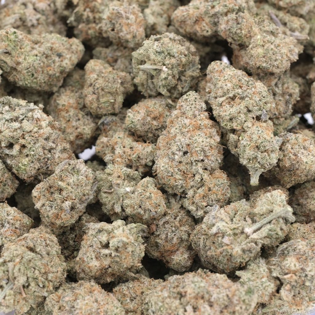 Buy Sour Mango – Hybrid – AAA Online - Weed Cargo