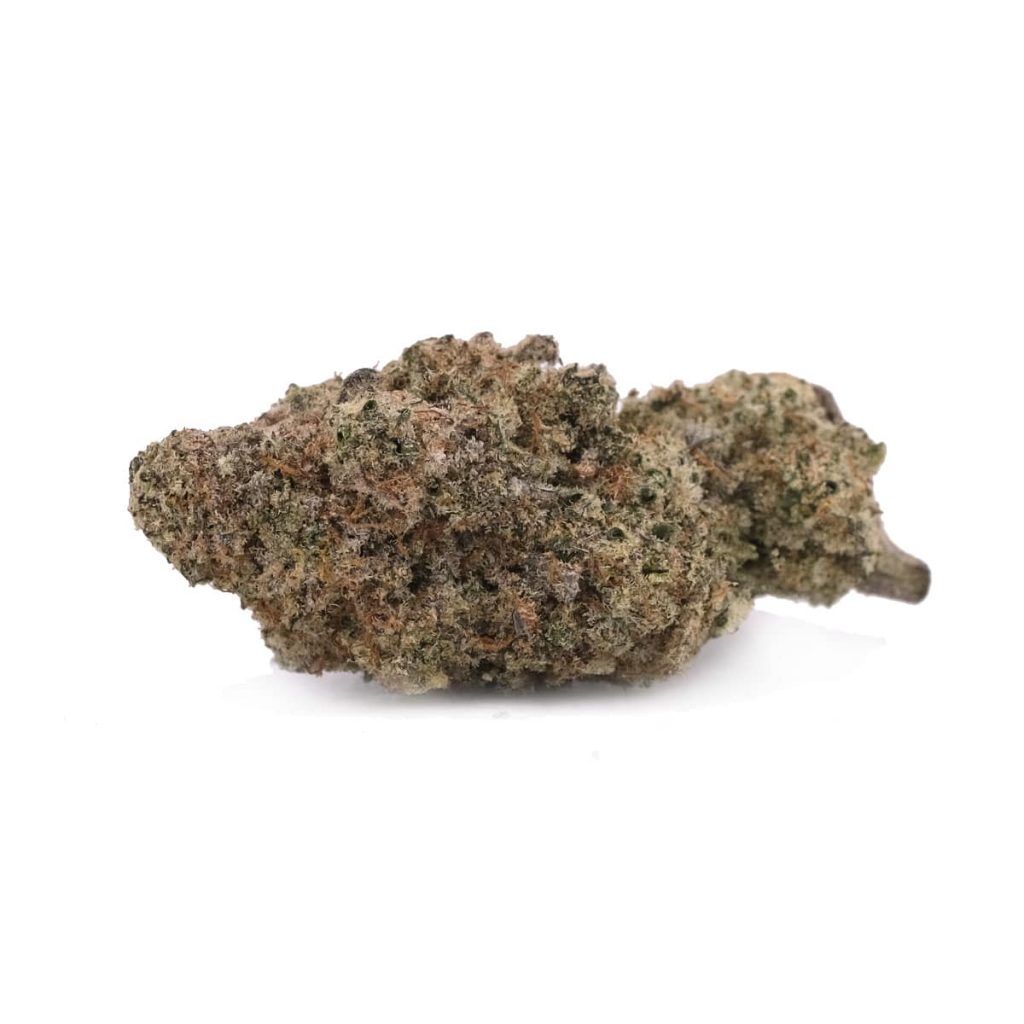 Buy Sour Mango – Hybrid – AAA Online - Weed Cargo