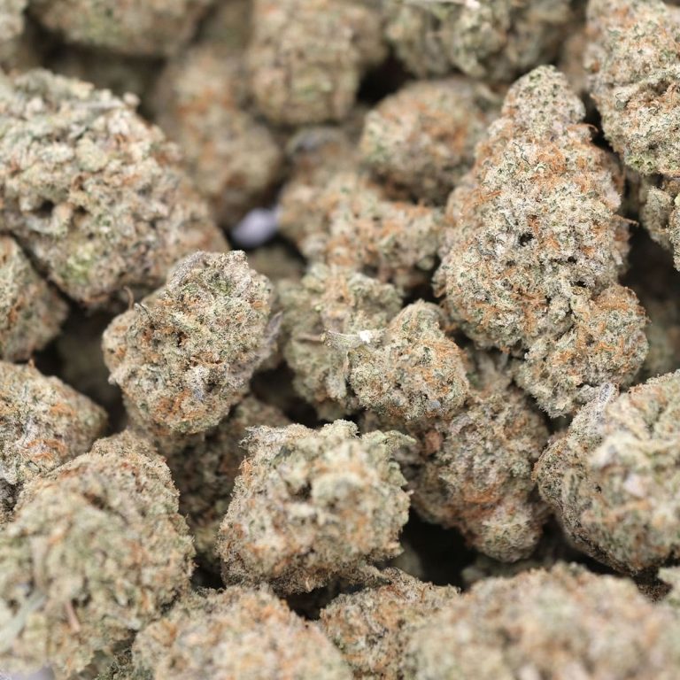 Buy Sour Mango – Hybrid – AAA Online - Weed Cargo