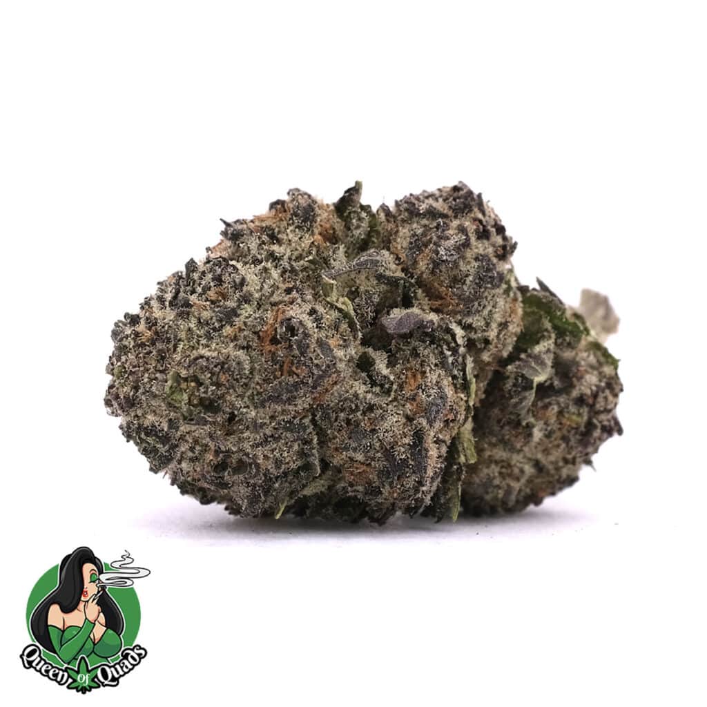 Buy Blueberry Muffin – Hybrid – AAAA – Queen Of Quads Online - Weed Cargo