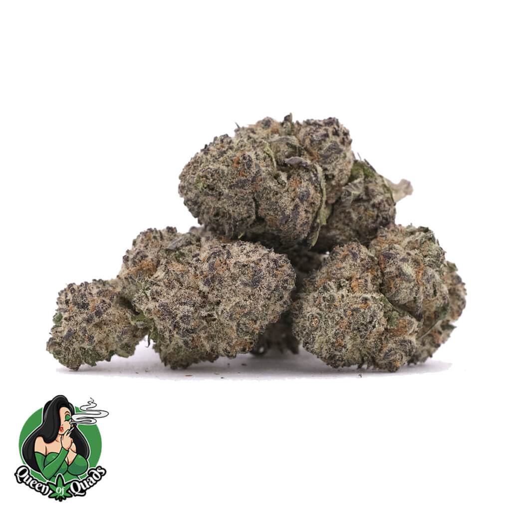 Buy Blueberry Muffin – Hybrid – AAAA – Queen Of Quads Online - Weed Cargo