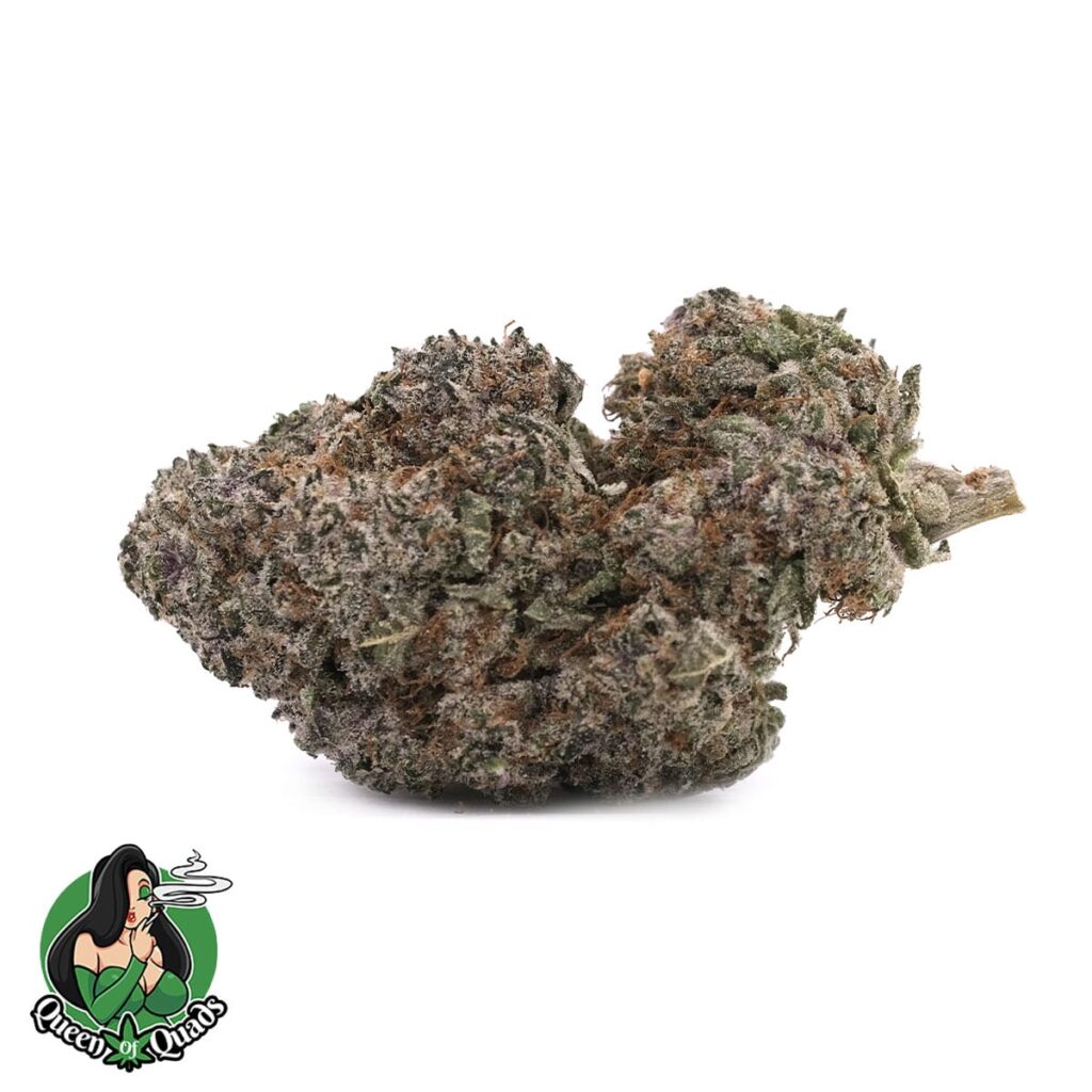 Buy Lemon Meringue Pie – Hybrid – AAAA – Queen Of Quads Online - Weed Cargo