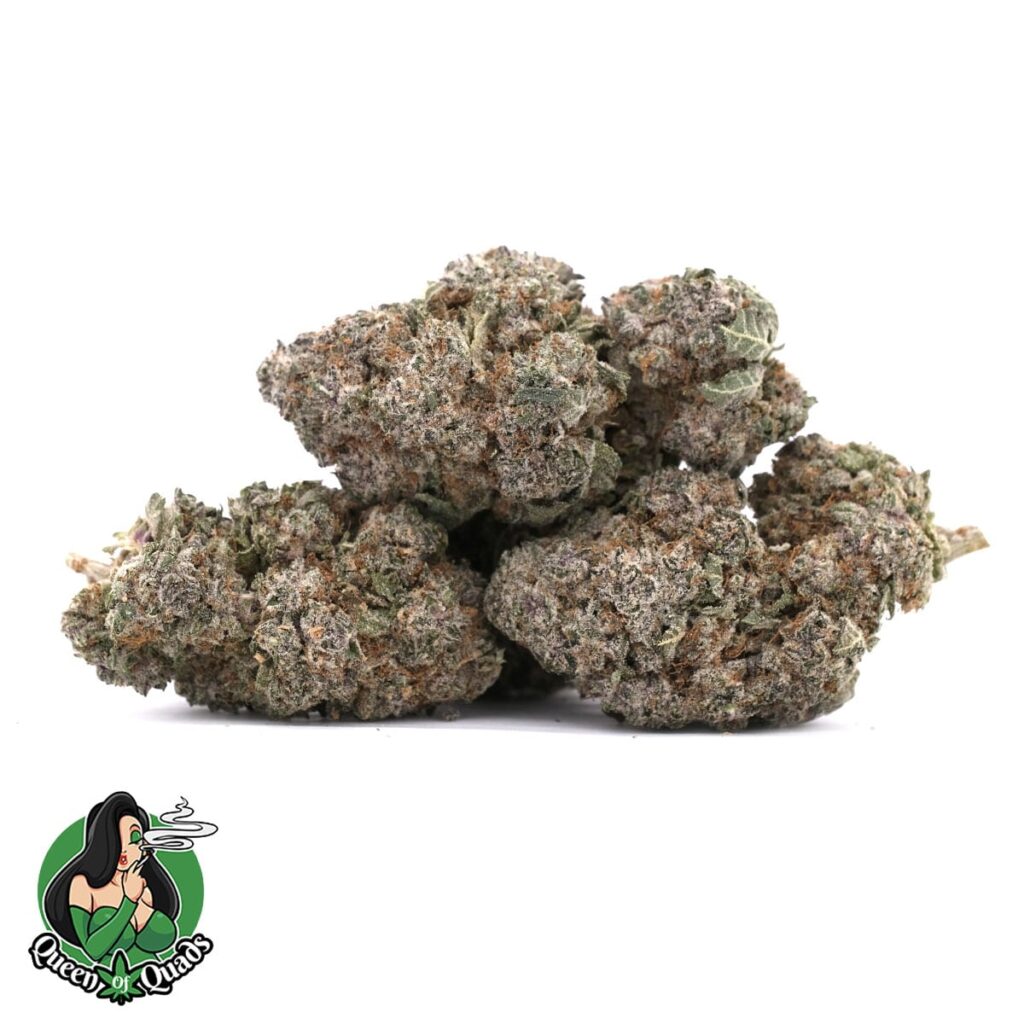 Buy Lemon Meringue Pie – Hybrid – AAAA – Queen Of Quads Online - Weed Cargo