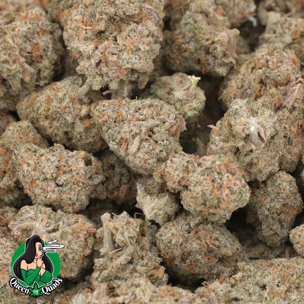 Buy Maui Wowie (Medium Nugs) – Hybrid – AAAA – Queen Of Quads Online ...