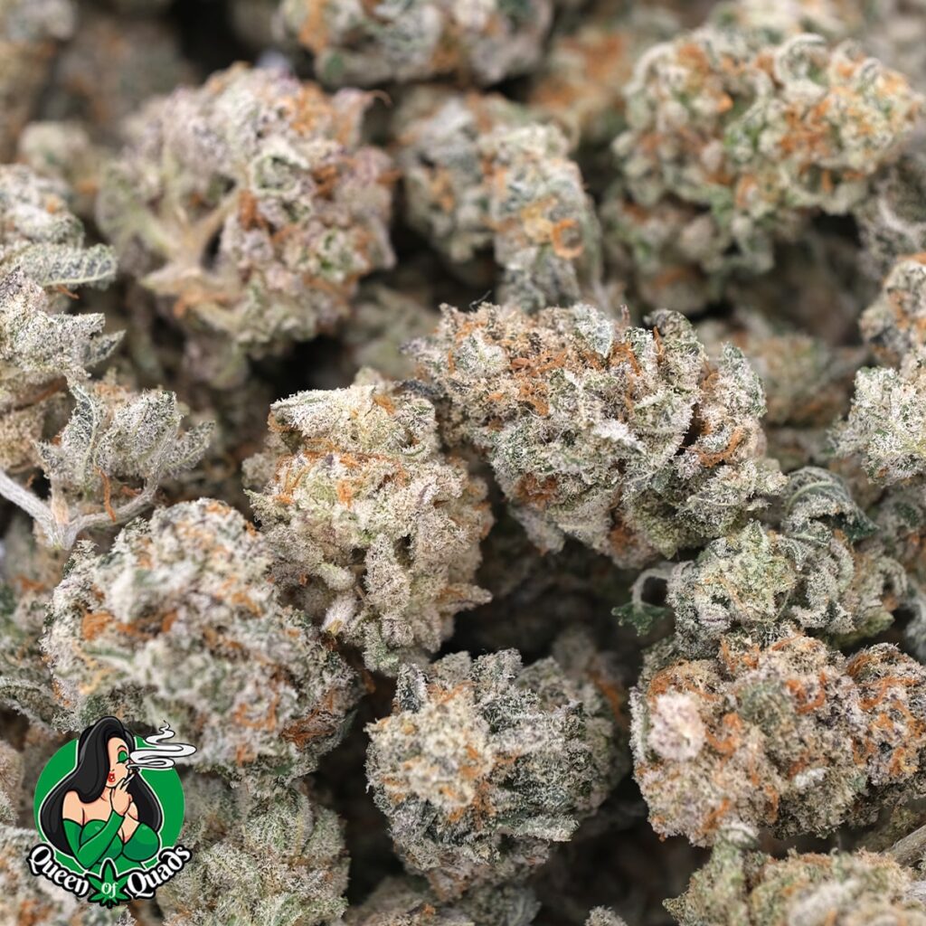 Buy Sour Patch Kids (Popcorns) – Hybrid – AAAA – Queen Of Quads Online ...