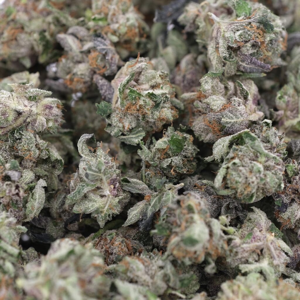 Buy Venom OG – Hybrid – AA Online - Weed Cargo