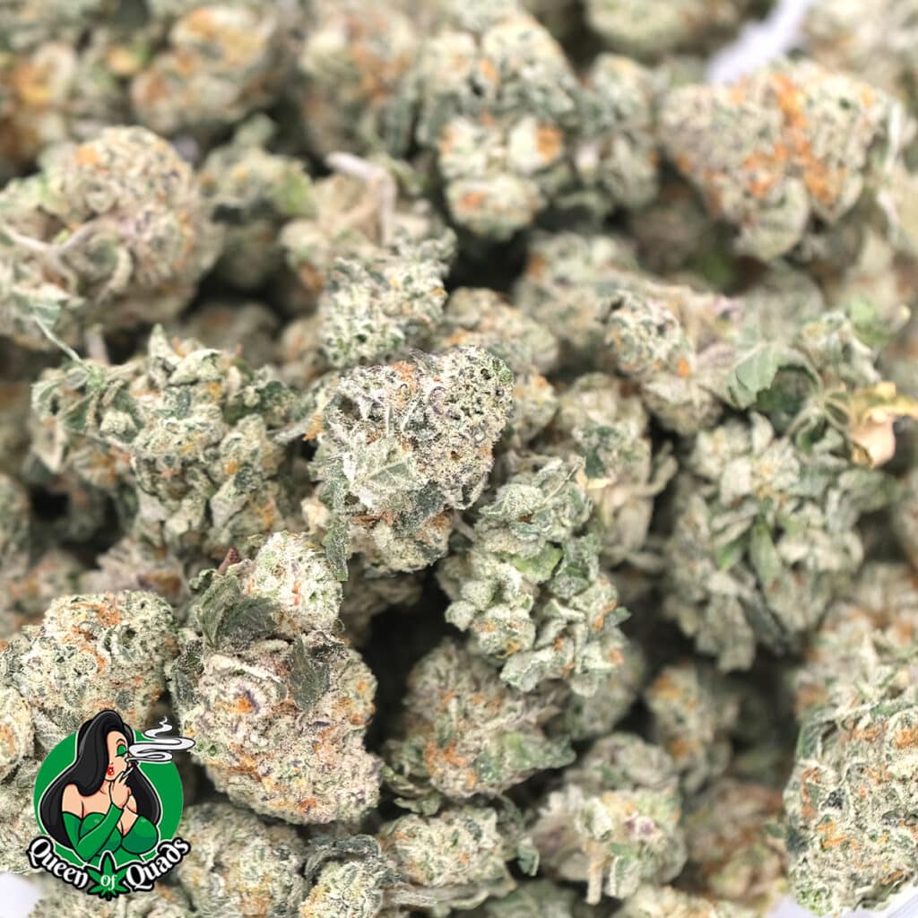 Buy White Crack (Popcorn) - Hybrid - AAAA - Queen Of Quads Online ...